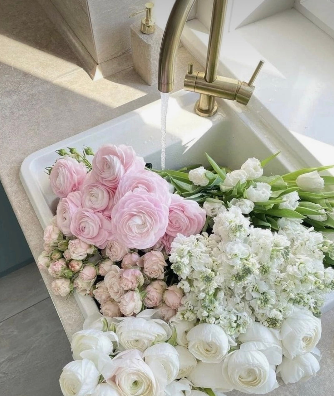 HOME – Amanda Alexander Collections NZ