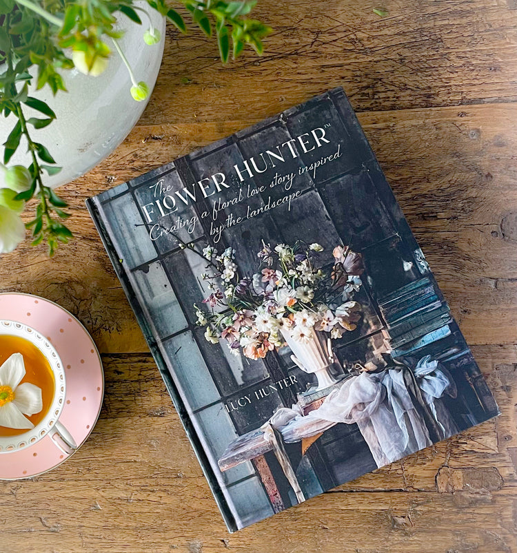 Amanda Alexander Collections – Amanda Alexander Collections NZ